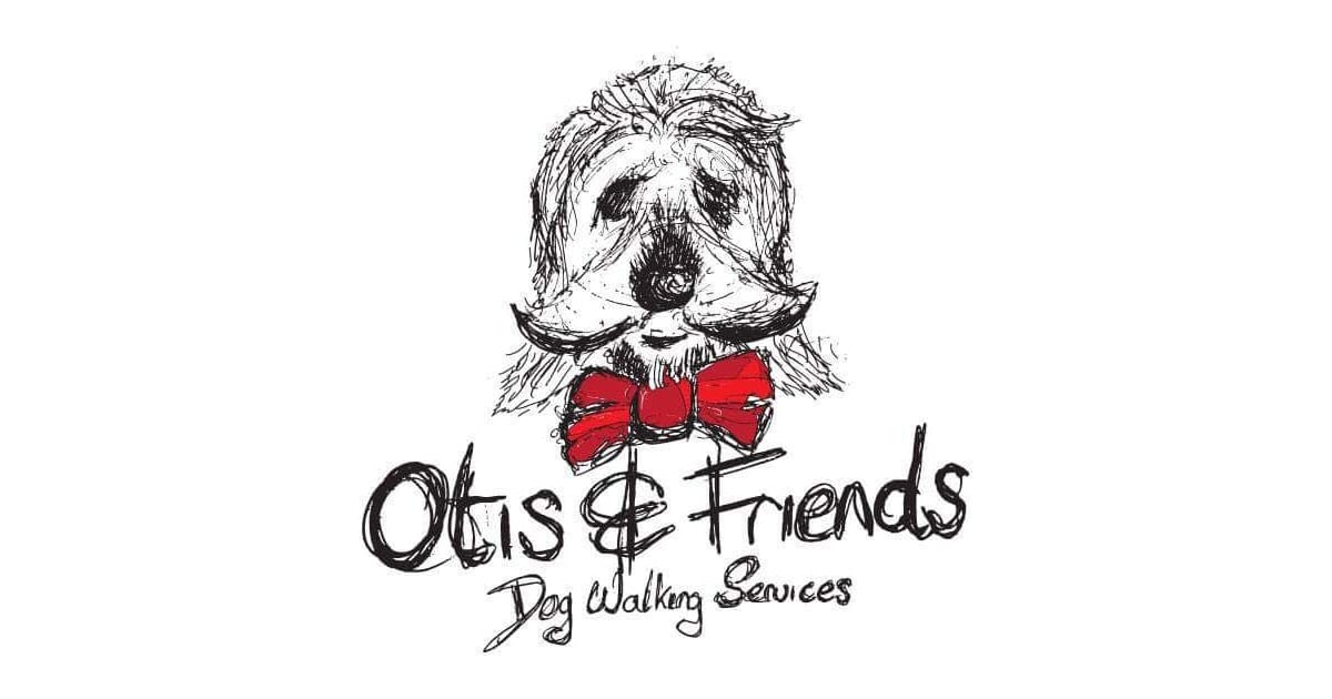 Otis & Friends - Trusted Dog Walker in and around Coalville